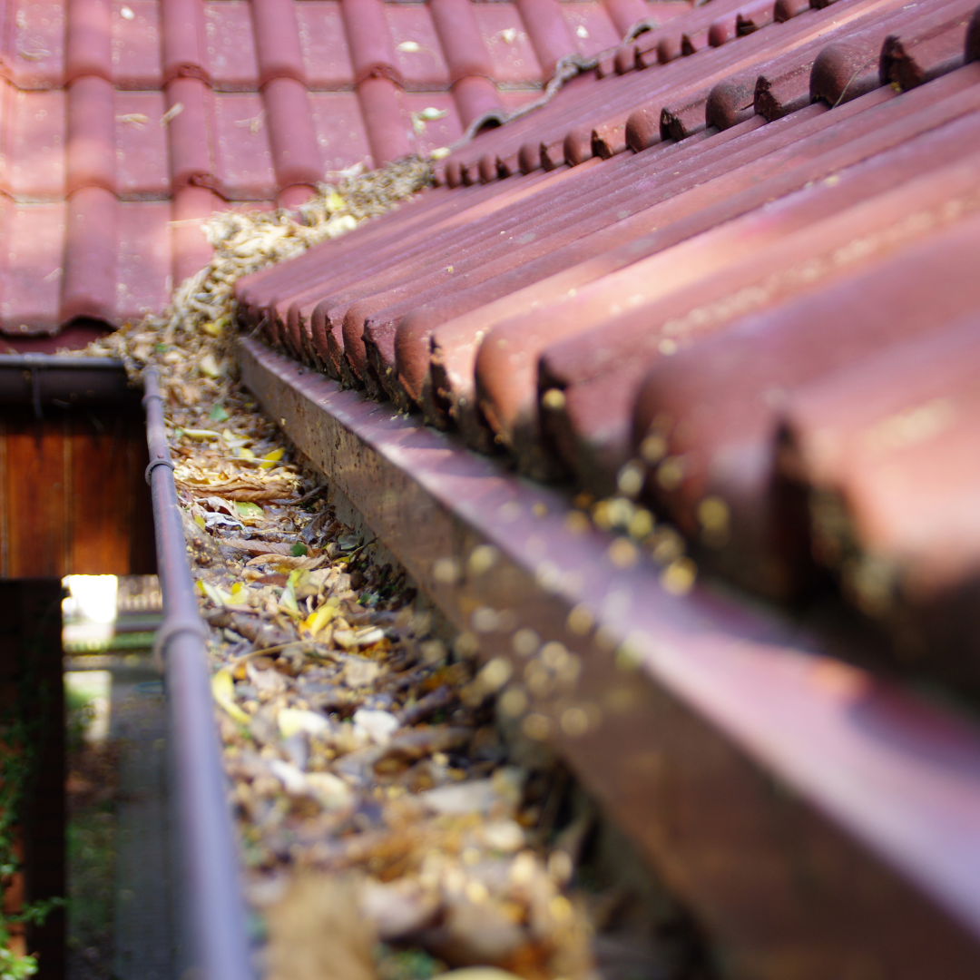 Gutters and Pressure Washing: What You Need to Know - HomeSmiles ...