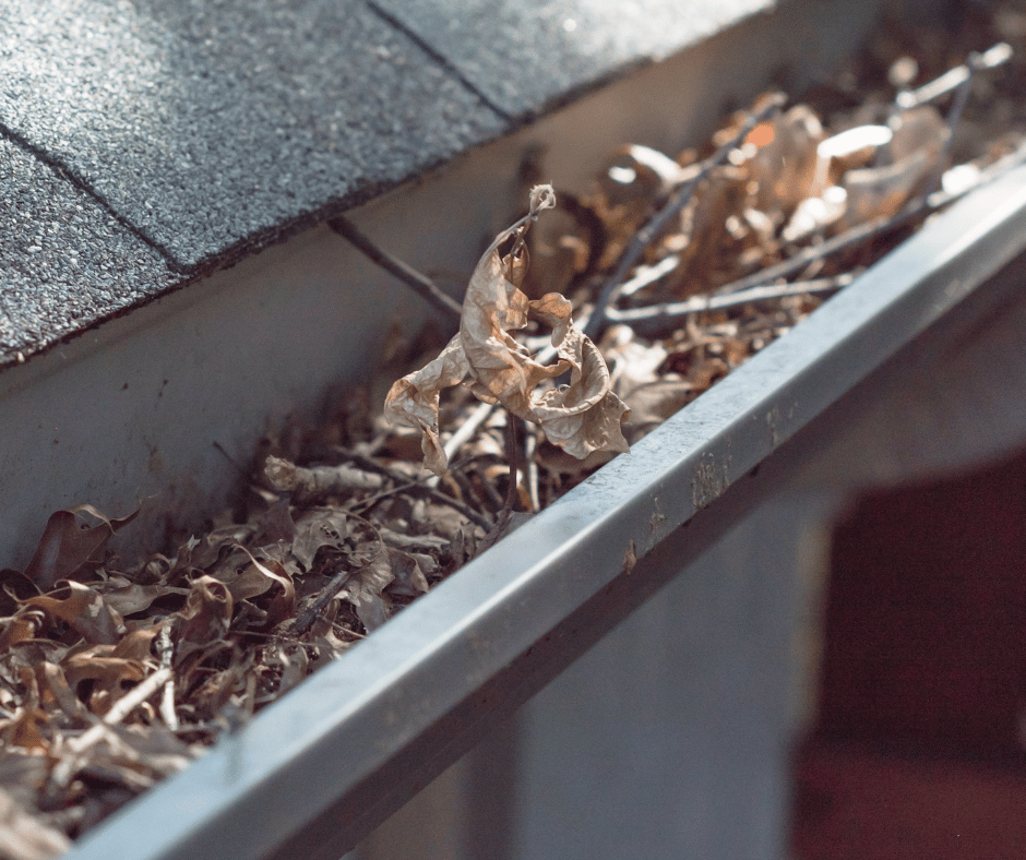 Understanding the Importance of Clearing Clogged Gutters and Downspouts ...