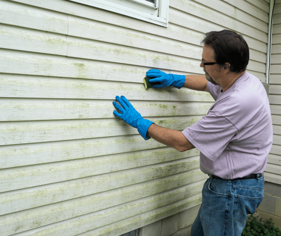 How to Remove Algae from Siding: A Comprehensive Guide by HomeSmiles ...