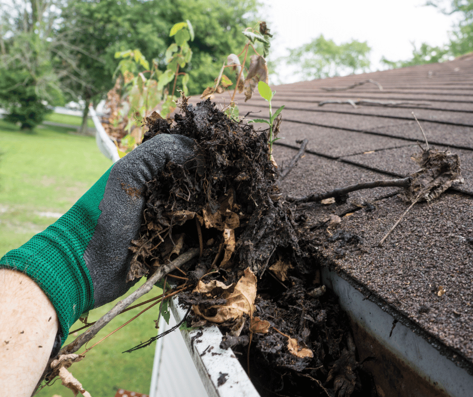 Leaves Blocking Gutters - HomeSmiles - Preventative Home Maintenance ...