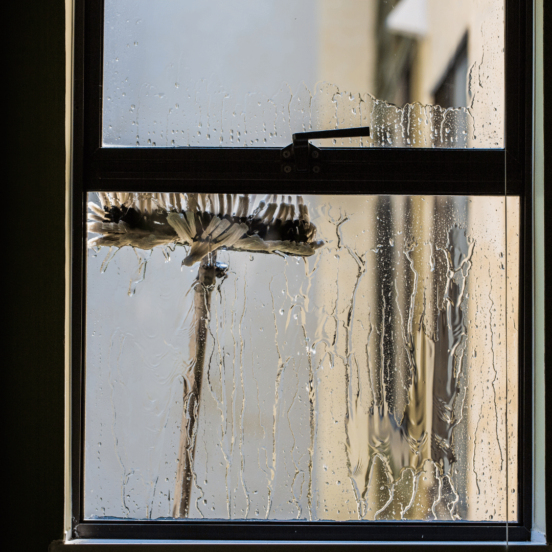 How to Achieve Streak-Free Windows: Expert Tips for the Best No Streak ...